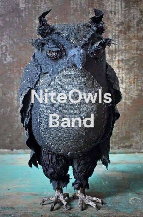 The Nite Owls Band | The Nite Owls Band